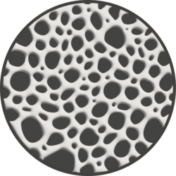 Osteoporoosi - Luustoliitto